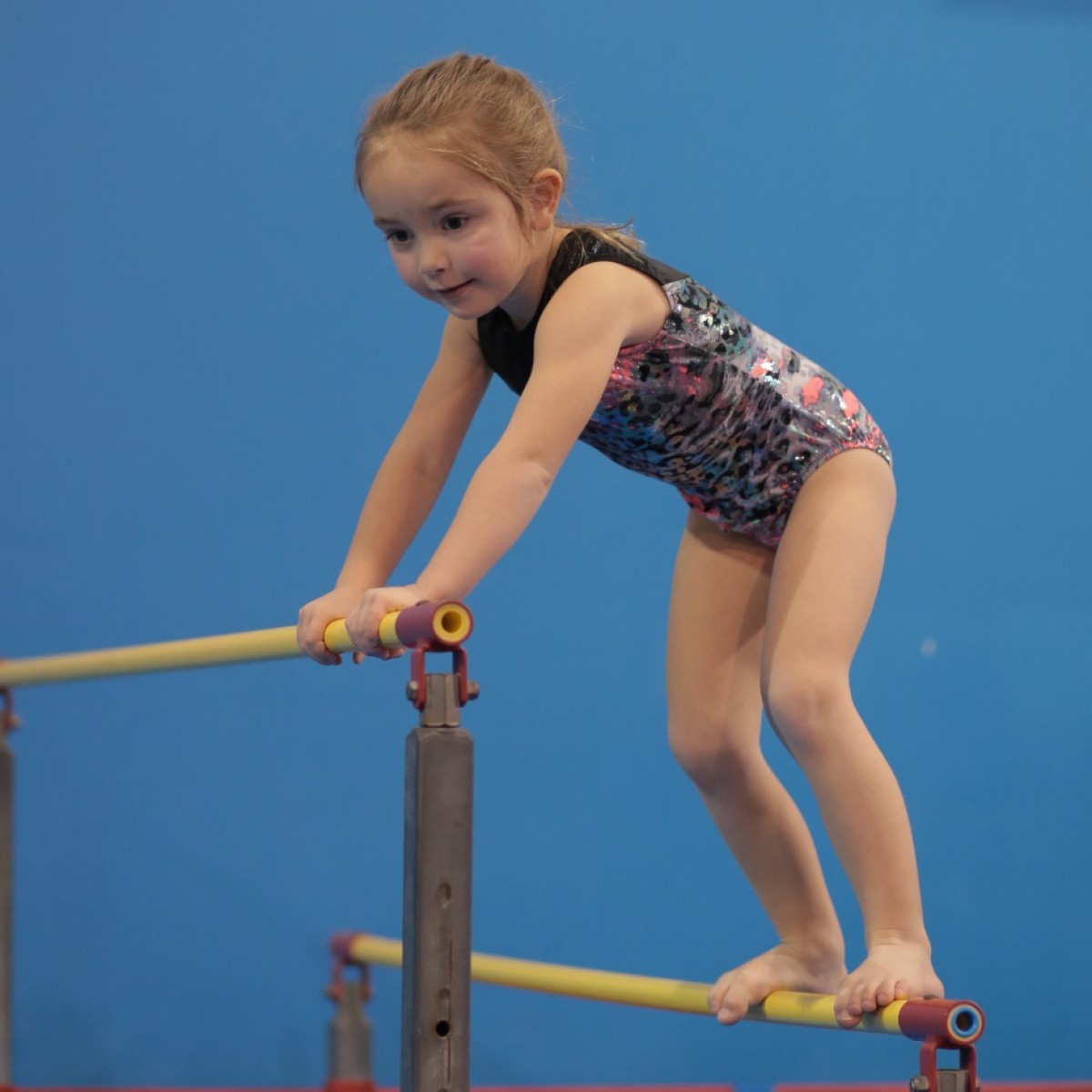 Springers Gymnastics - Preschool