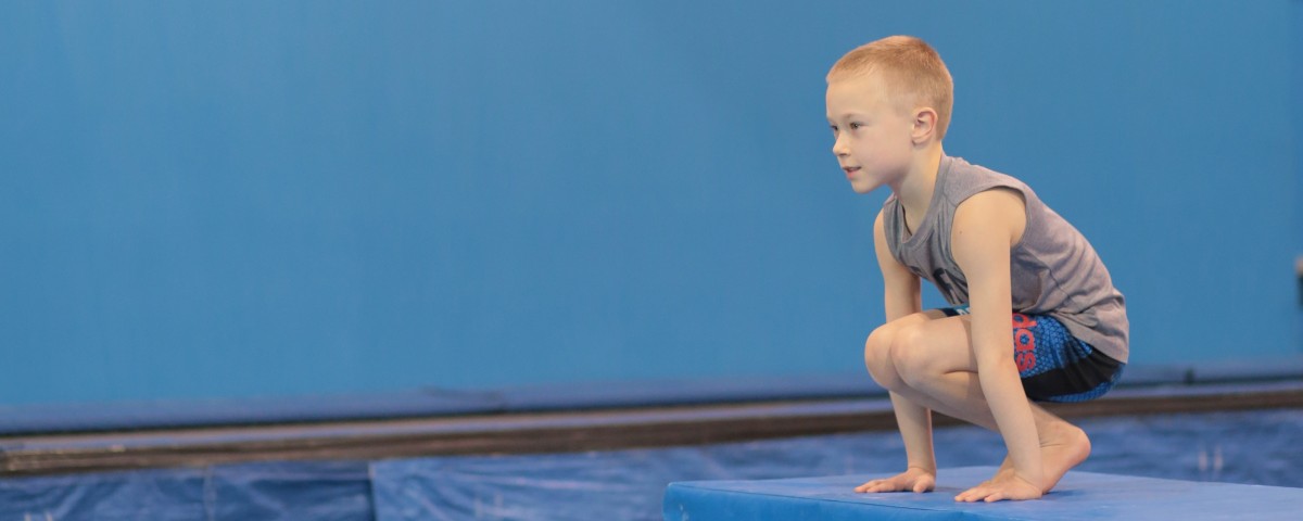Springers Gymnastics - Beginner Boys