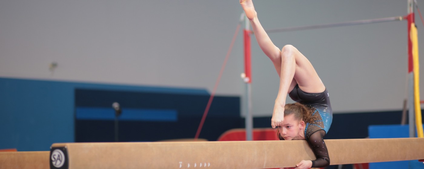 Springers Gymnastics - Staff